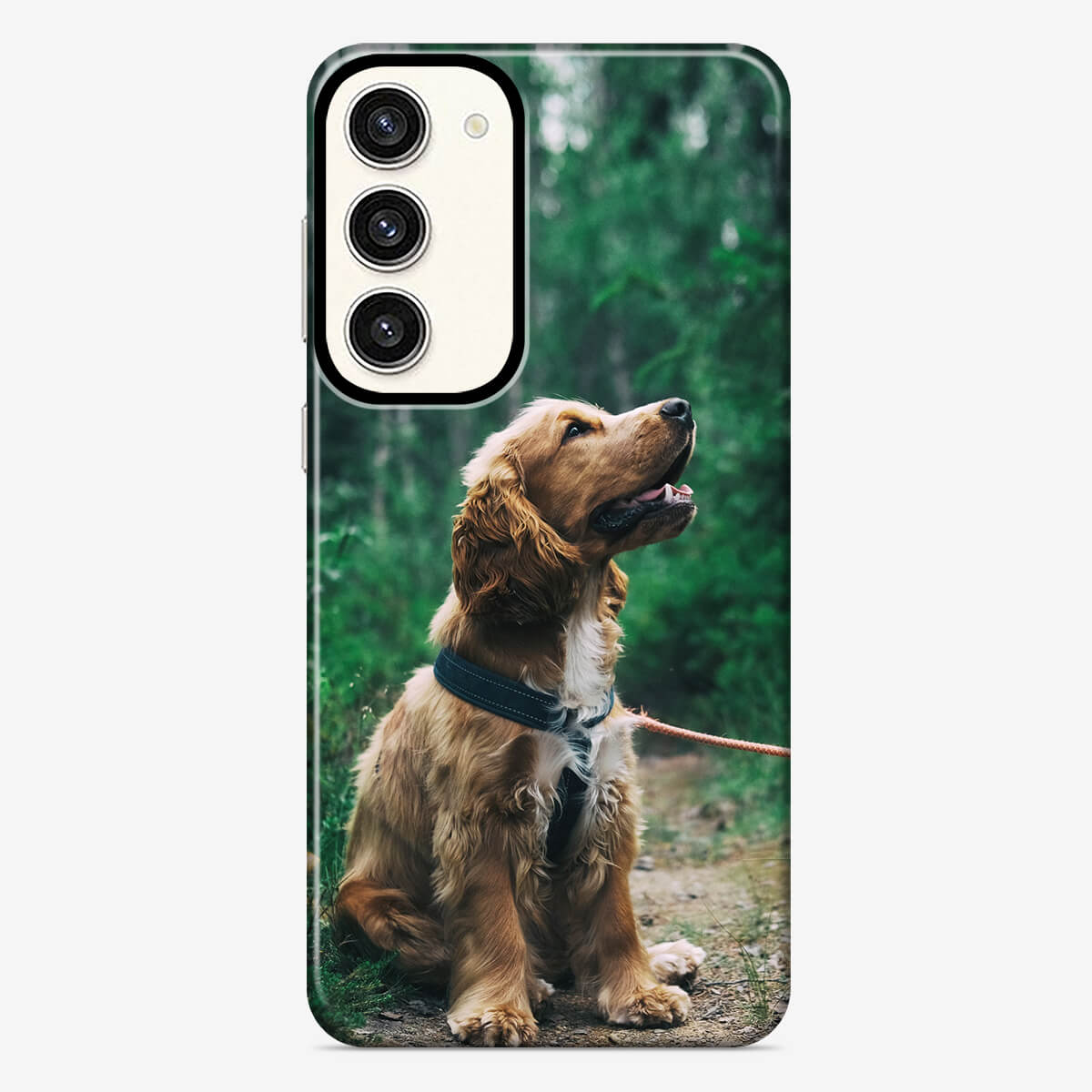 Personalised Samsung Galaxy S24 Plus Cases & Covers | Wrappz